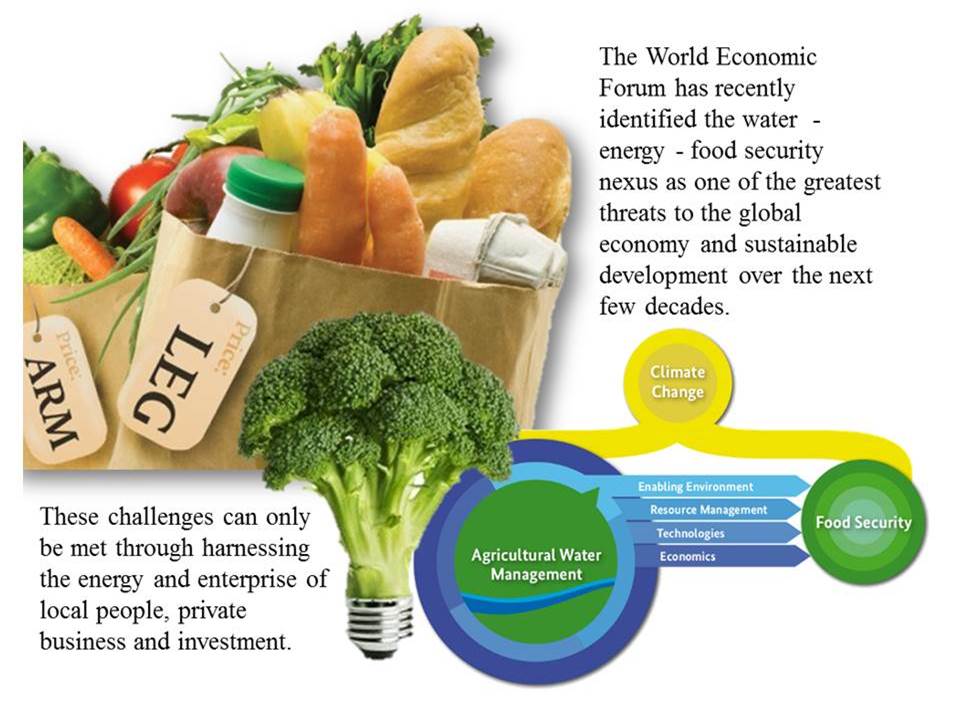 Food And Energy food-and-energy